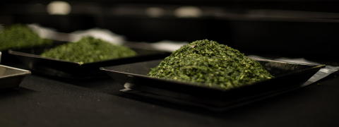 Gyokuro - JAPANESE GREEN TEA | HIBIKI-AN