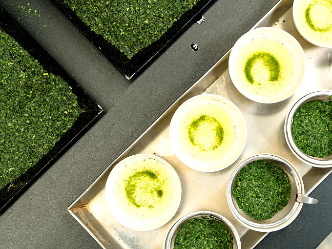 Why is Tencha Flavor a Secret? (Tencha - Pure Elegant Flavor ...